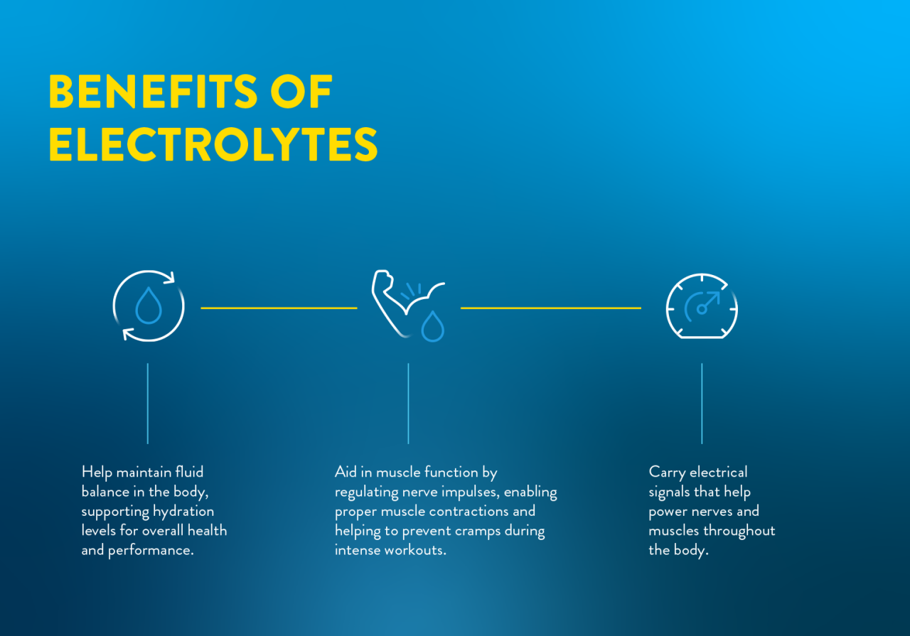Hydration Myths and Facts: What You Need to Know About DIY Electrolyte ...